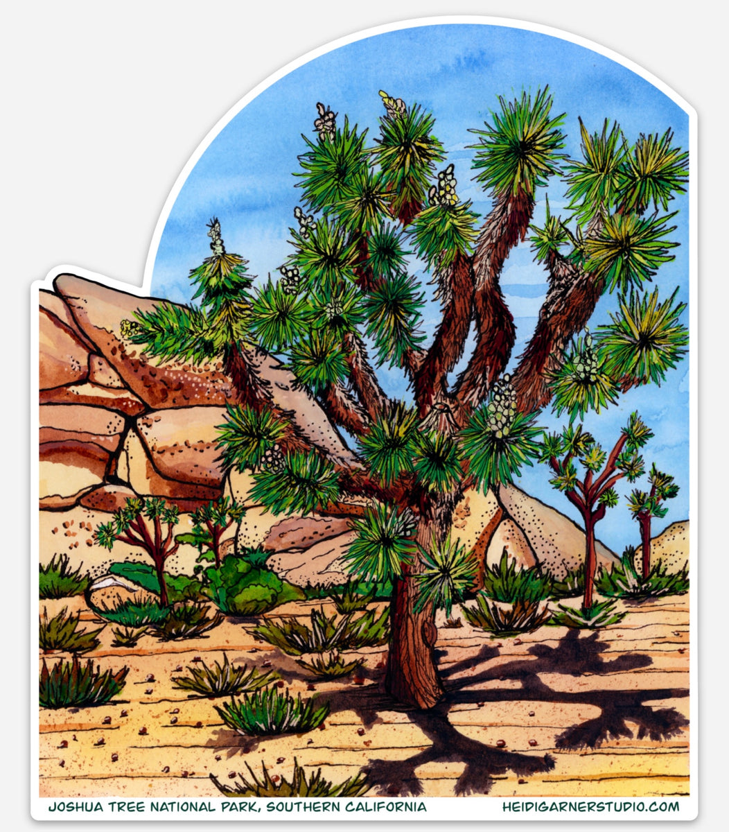 Joshua Tree Vinyl Sticker – Heidi Garner Studio